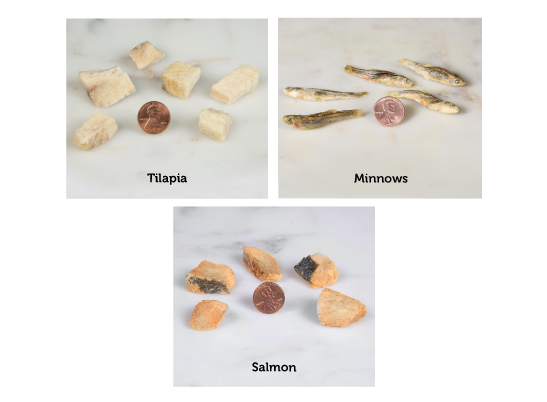 Fig & Tyler | Fish Feast: Freeze-Dried Dog Treats - 100% Fish